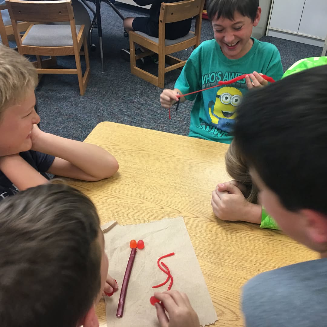 Science Projects and Research for Kids